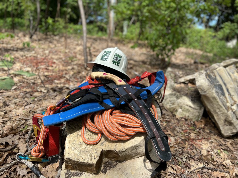 Support the UAA’s New Hub for Industry Engagement - Utility Arborist ...